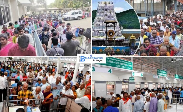 Tirupati Dharma Darshan Bus Package from Anand Rao Circle